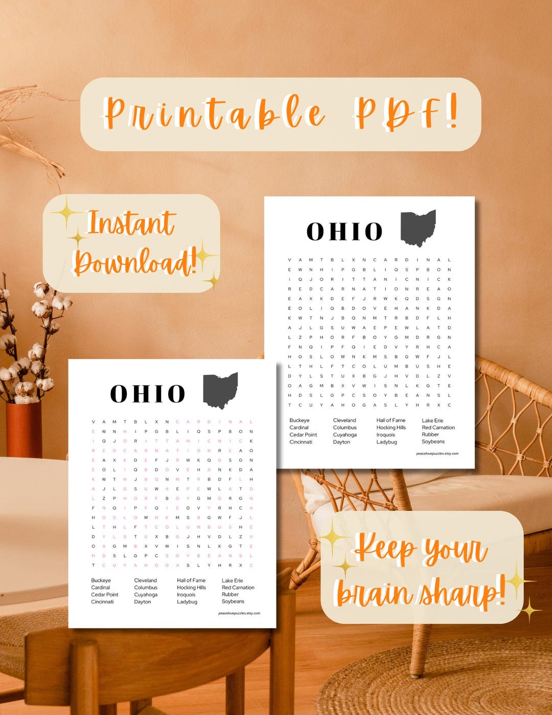 Ohio Word Search Puzzle: US State Word Find (printable PDF) - Etsy