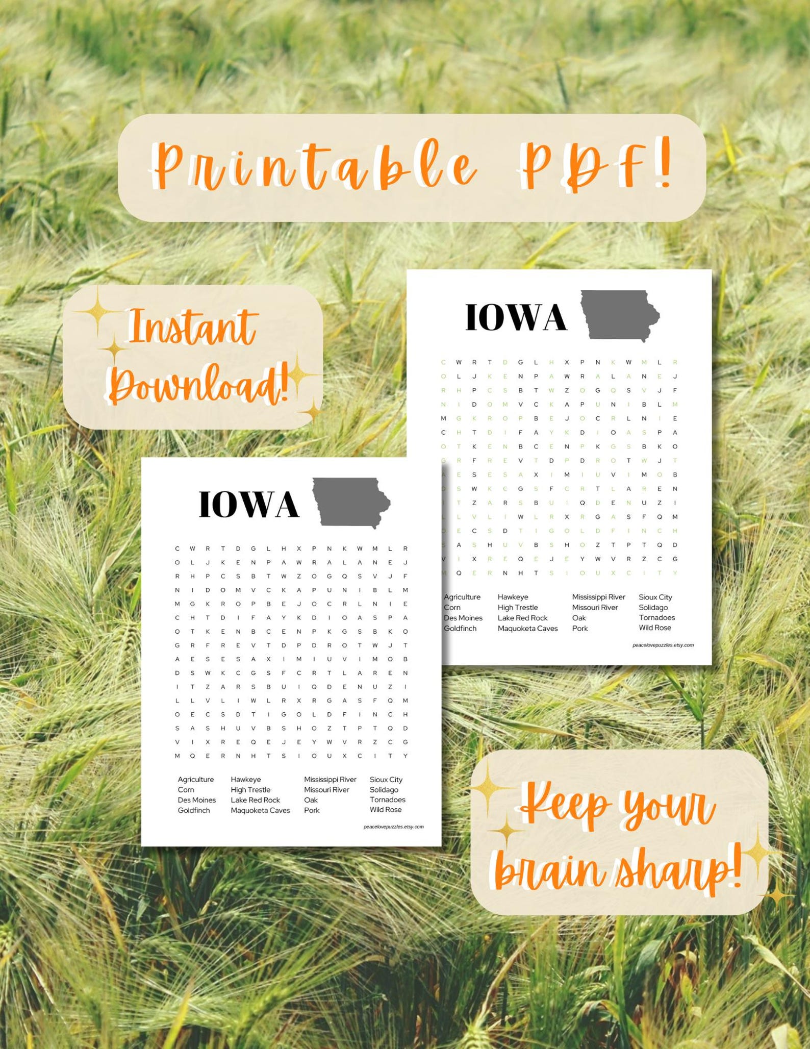 Iowa Word Search Puzzle: Learn & Play Brain Game (printable PDF) - Etsy