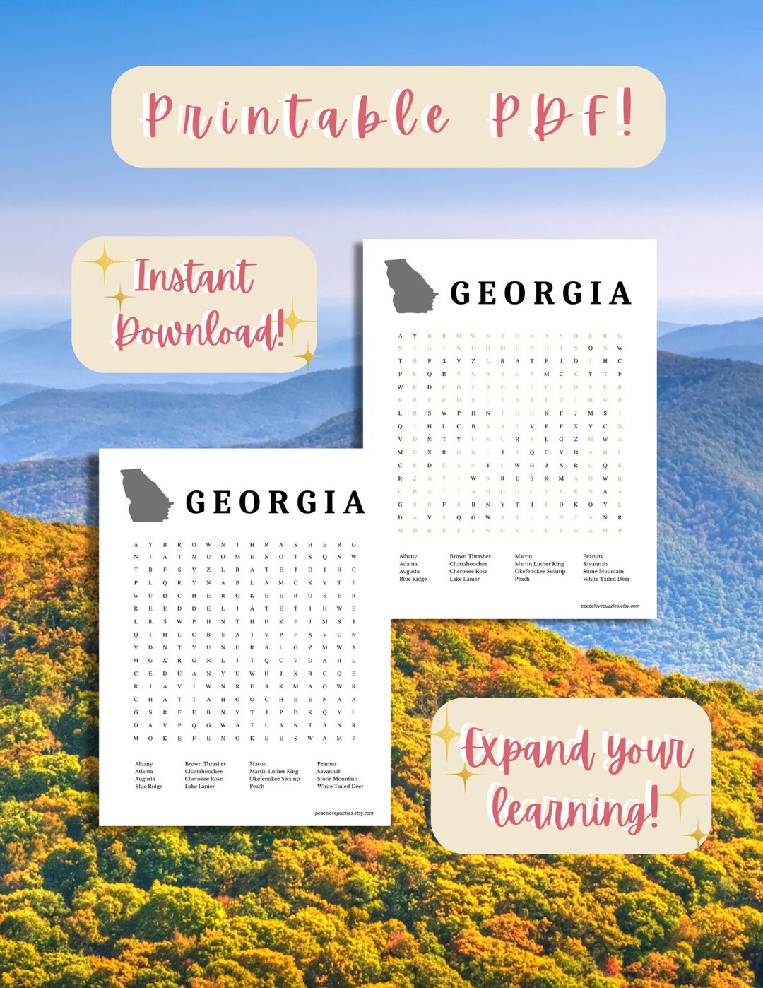 Georgia Word Search Puzzle: Fun US State Brain Game (printable PDF) - Etsy