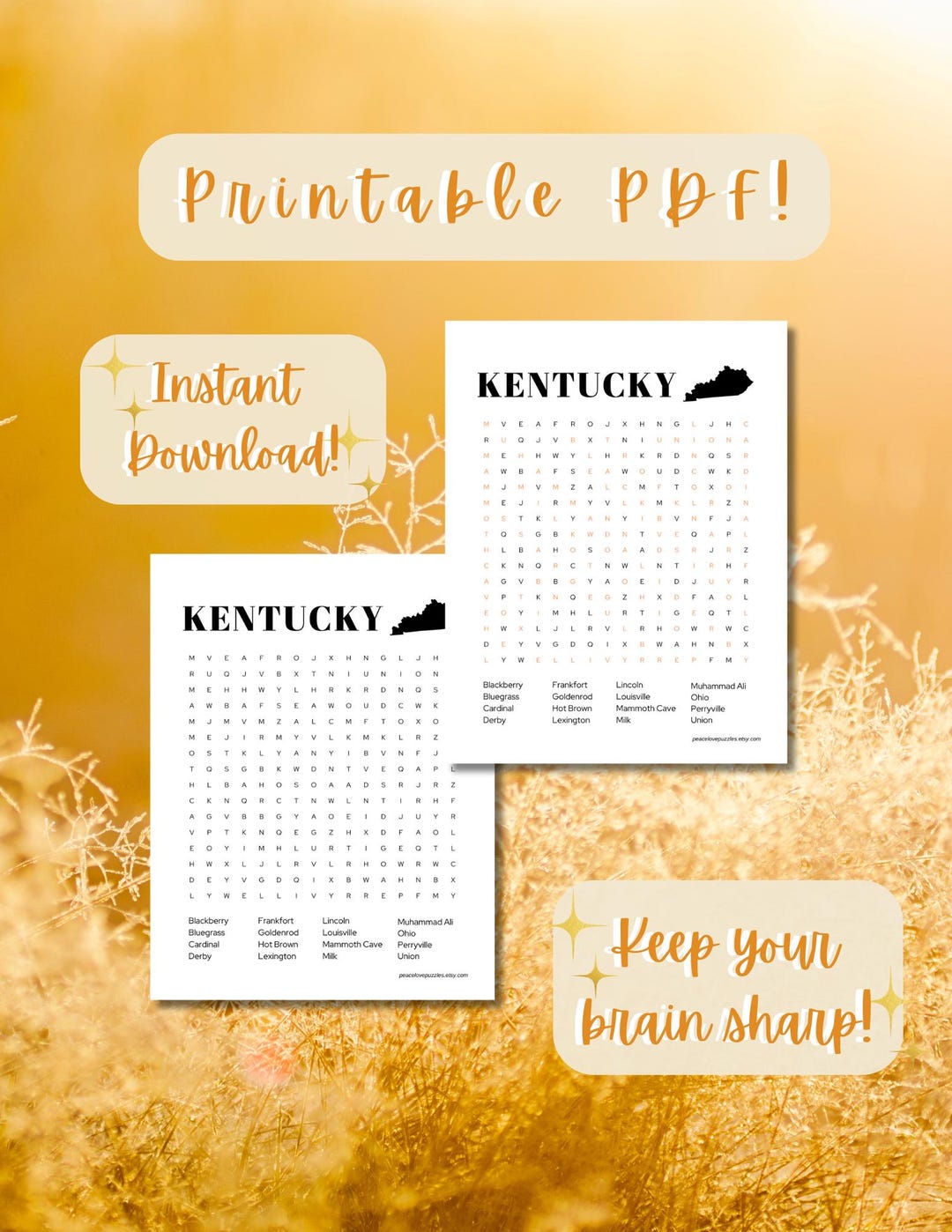 Kentucky Word Search, US State Word Search, Fun Word Puzzle, Learn and ...