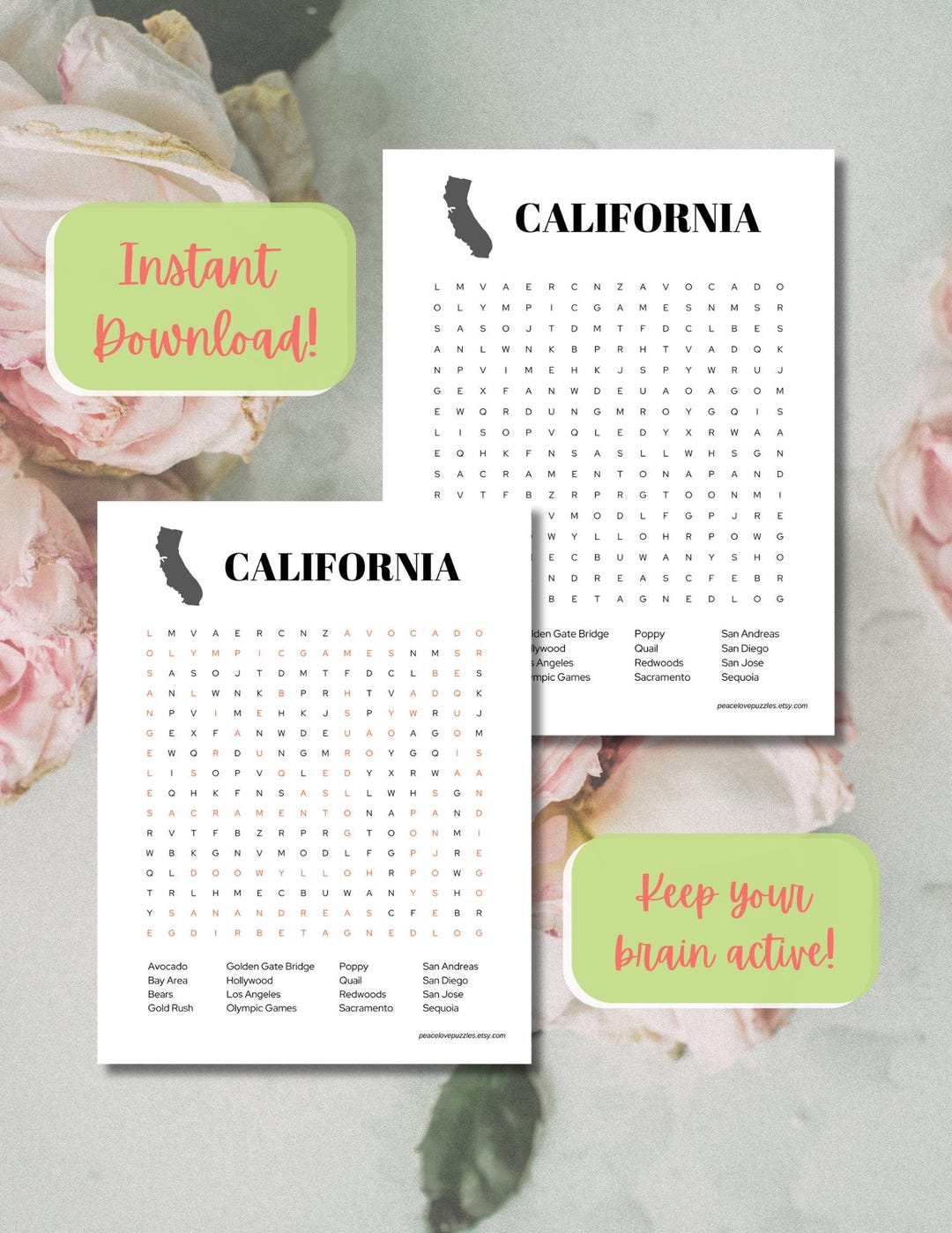California Word Search, Learn and Play, Fun Word Puzzle, Word Find, US ...