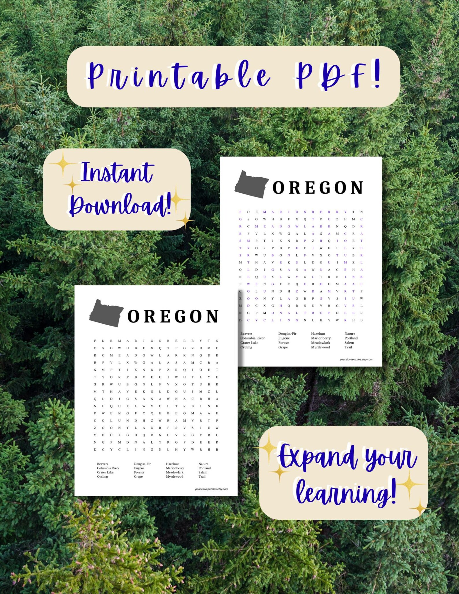 Oregon Word Search Puzzle: Learn & Play, US State Word Find (printable ...