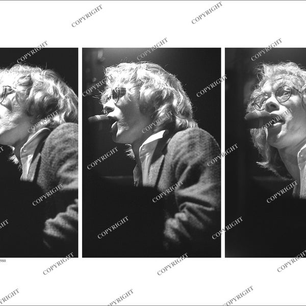 Warren Zevon Poster - Etsy