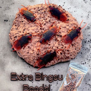 Crunchy Cockroach Binsgu Snow Fizz Hybrid Slime - Etsy
