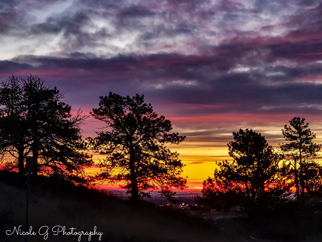 Pine Tree Sunrise Fort Collins Colorado, Wall Art, Colorado Fine Art ...