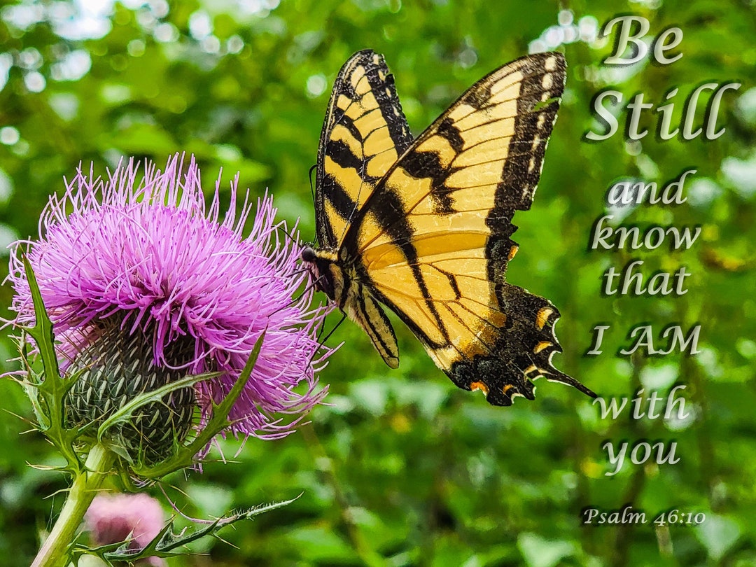Psalm 46:10 Be Still and Know That I Am With You, God's Love Canvas ...