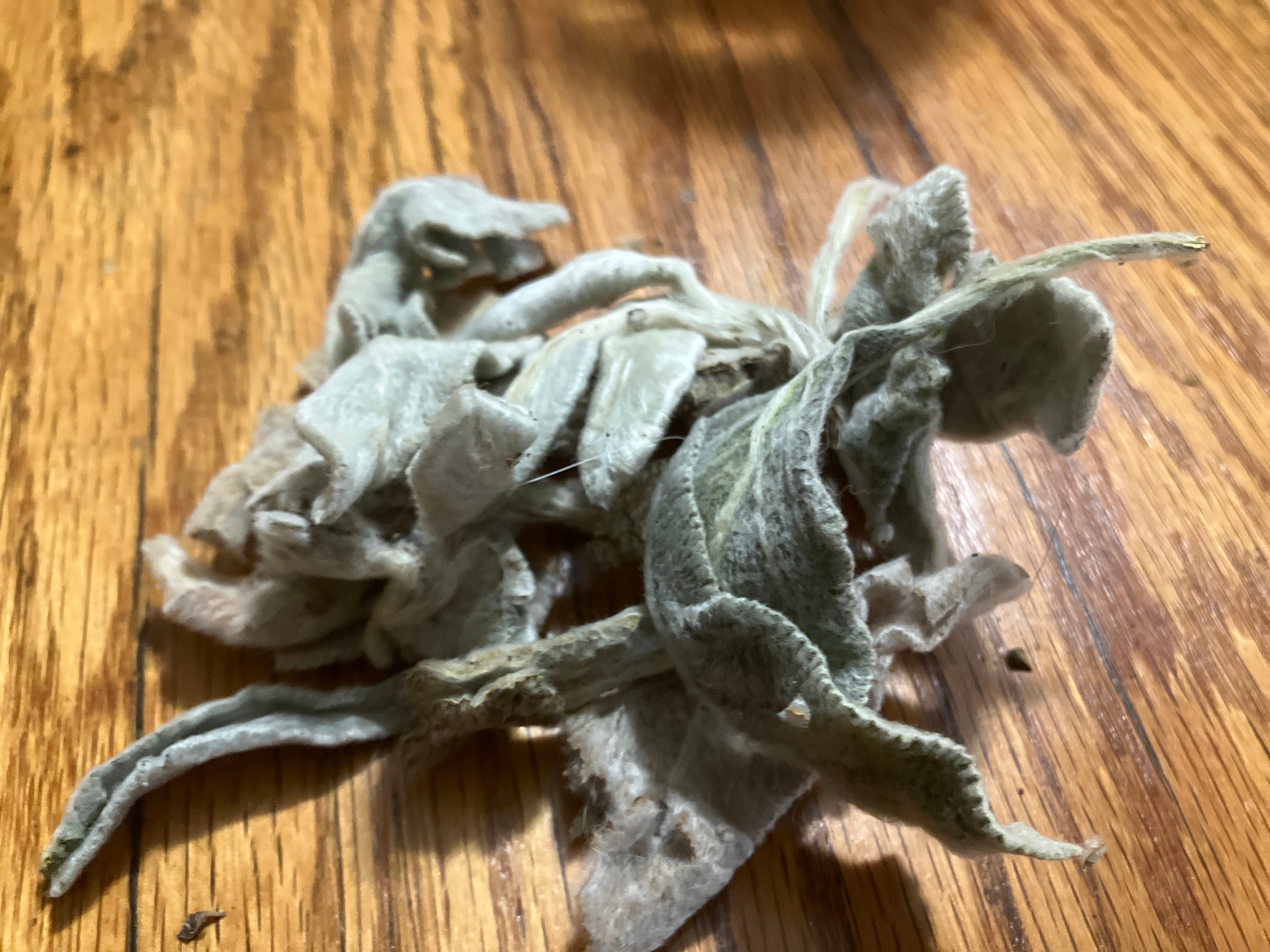 Dried Lamb’s Ear Loose Leaf - Etsy