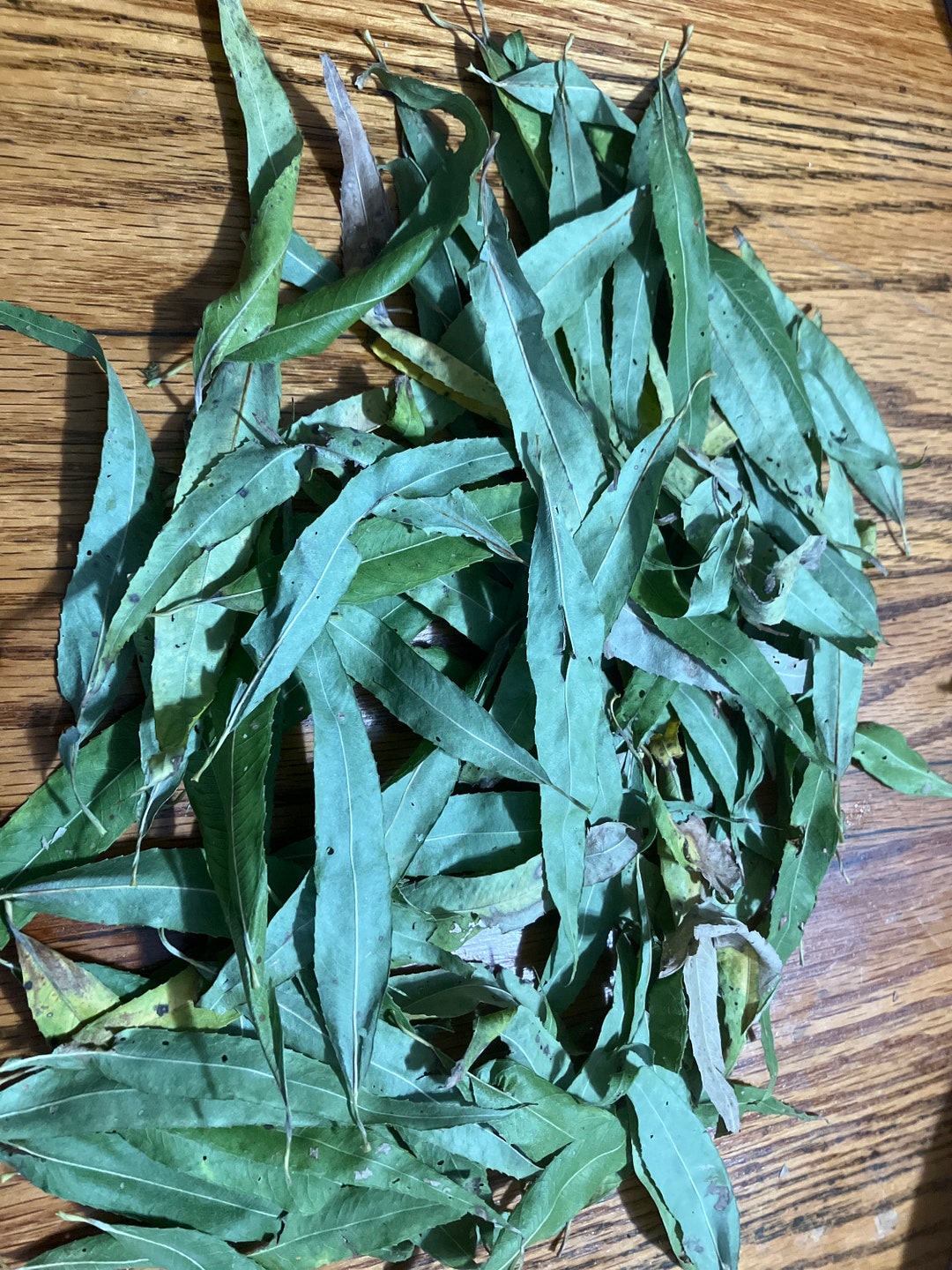 Dried Wild Willow Loose Leaf - Etsy