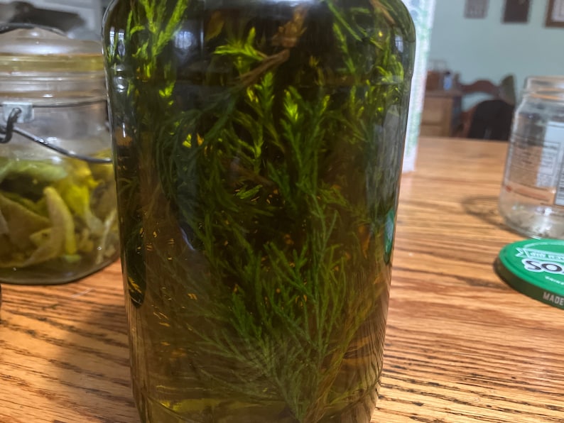 Cedar Infused Olive Oil - Etsy