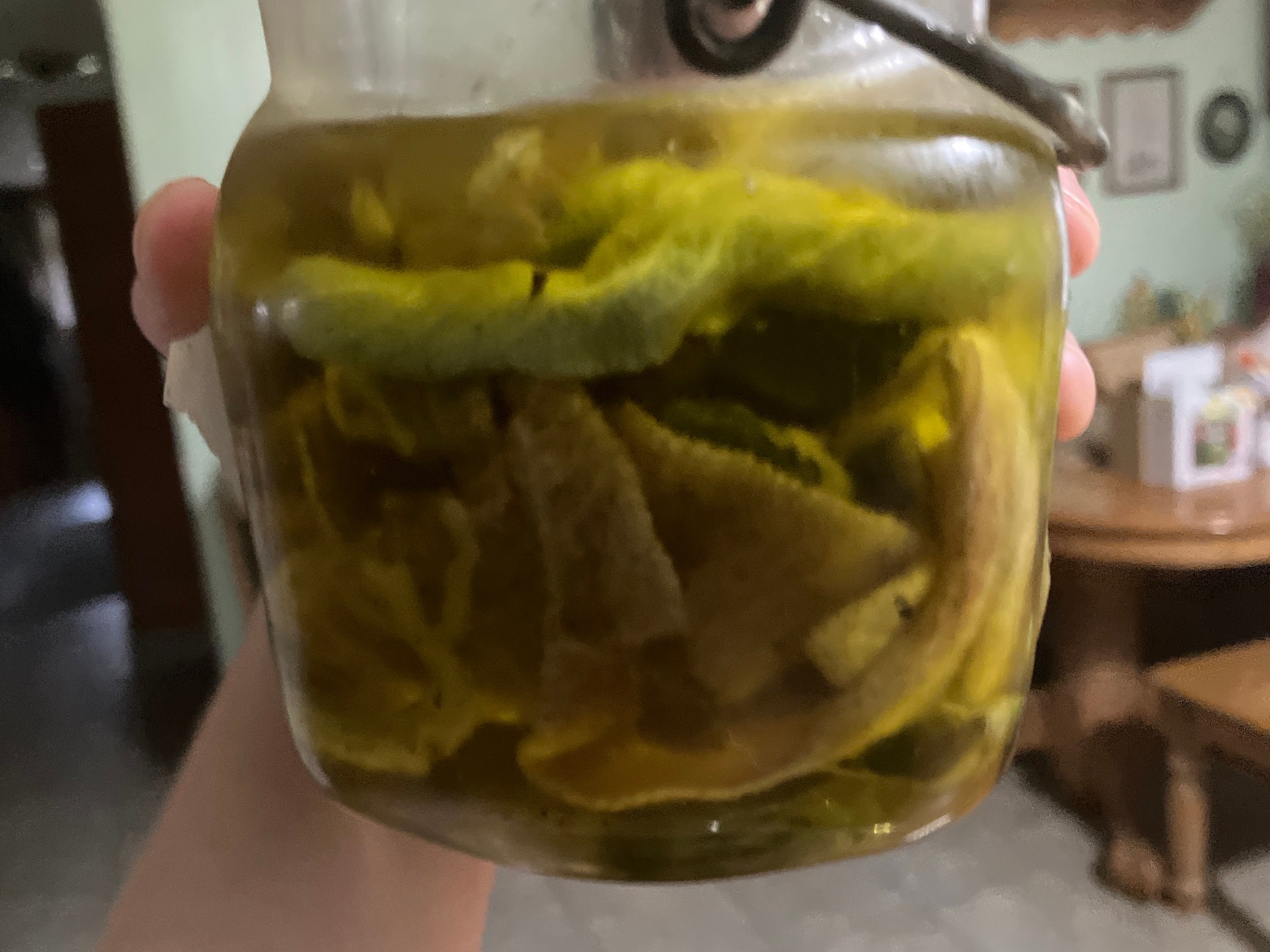 Lamb’s Ear-infused Olive Oil - Etsy