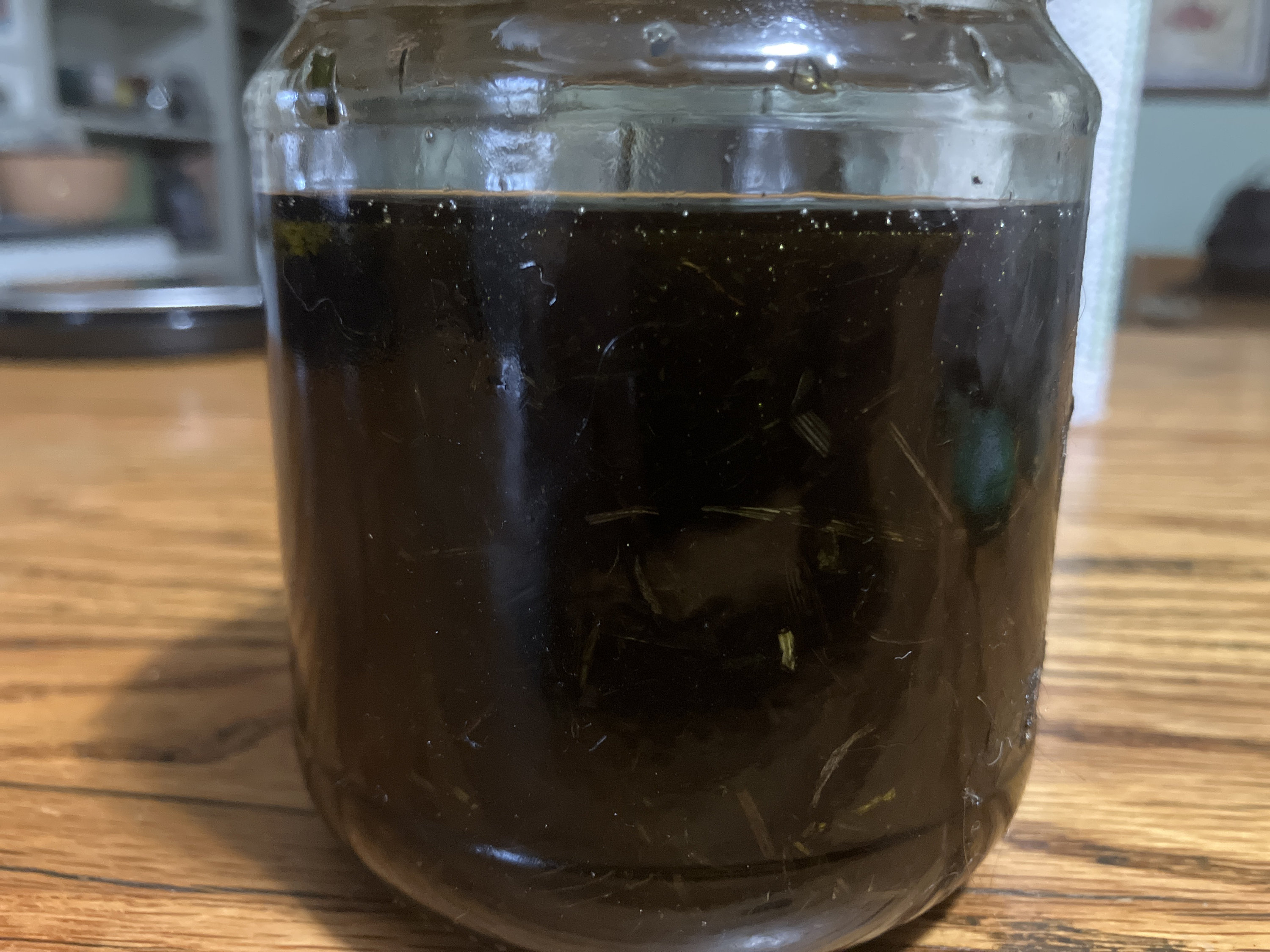 Plantain Infused Olive Oil - Etsy