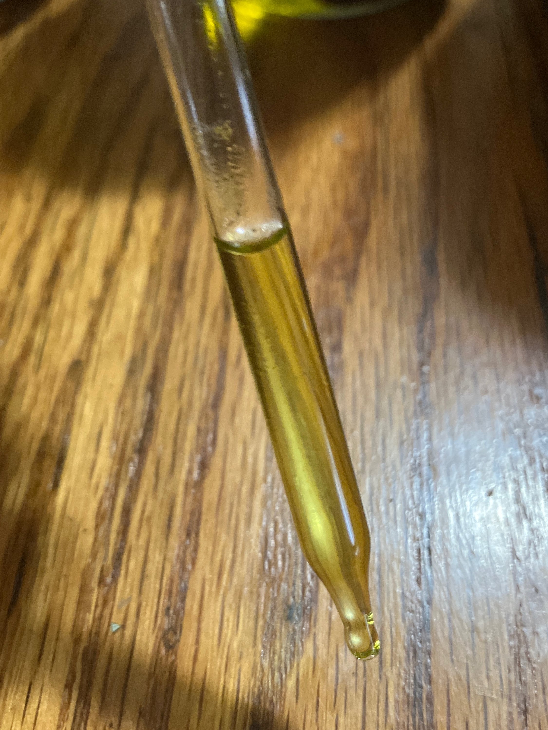 Plantain Infused Olive Oil - Etsy