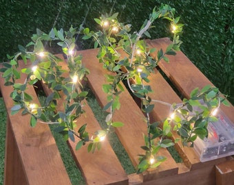 Ivy String Lights - Etsy