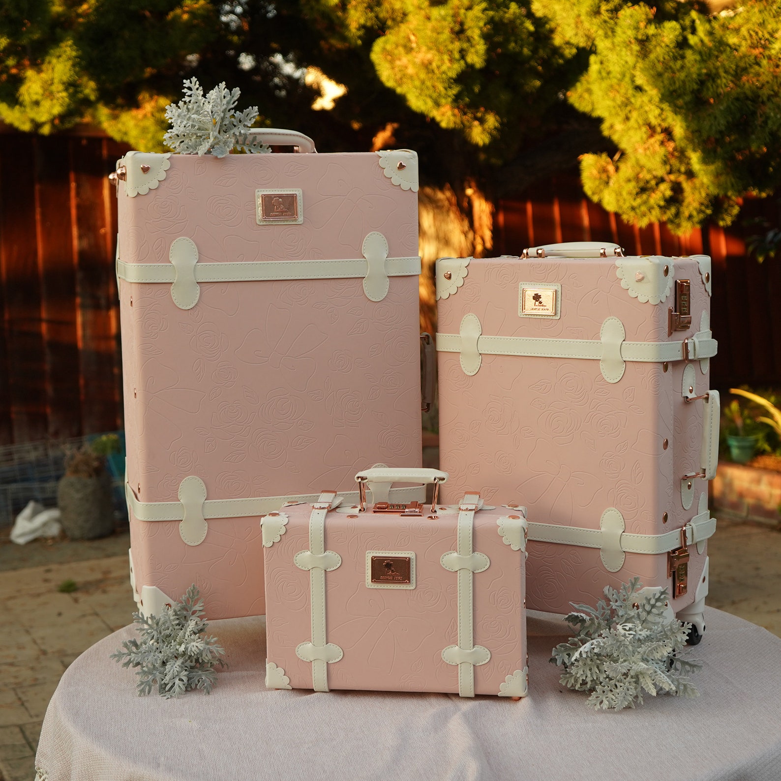 Vintage Style Suitcase for Women, Luggage Set With Spinner Wheels ...