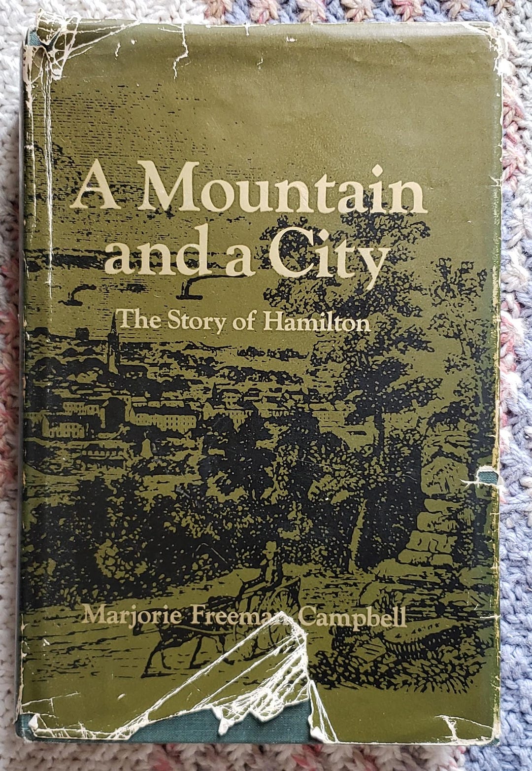 A Mountain and a City: the Story of Hamilton(ontario) by Marjorie ...