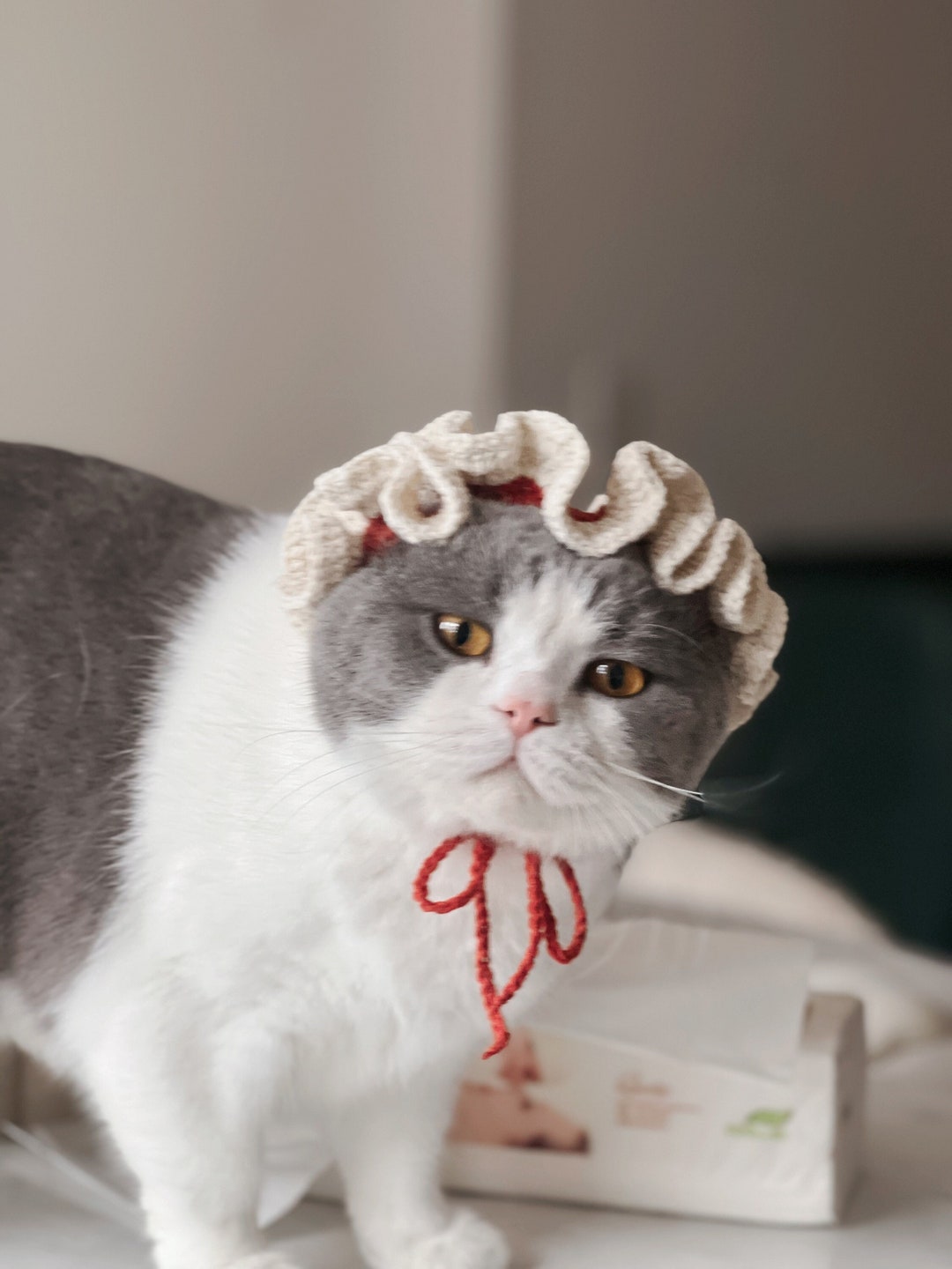 Crochet Pattern | Pet Ruffle Beret Hat | Cat/dog | How to Crochet ...