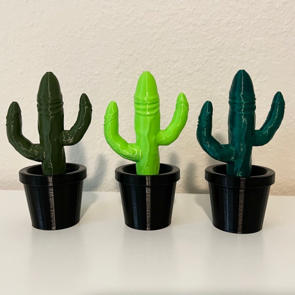 Penis Cactus Etsy