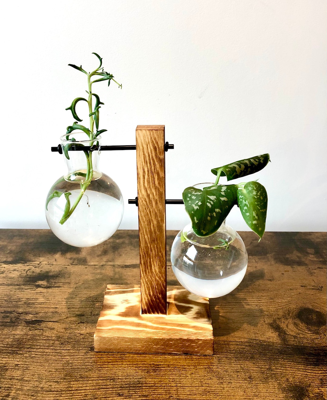 Propagation Station - Grow Rack - Hydroponic Station for Growing Plant ...