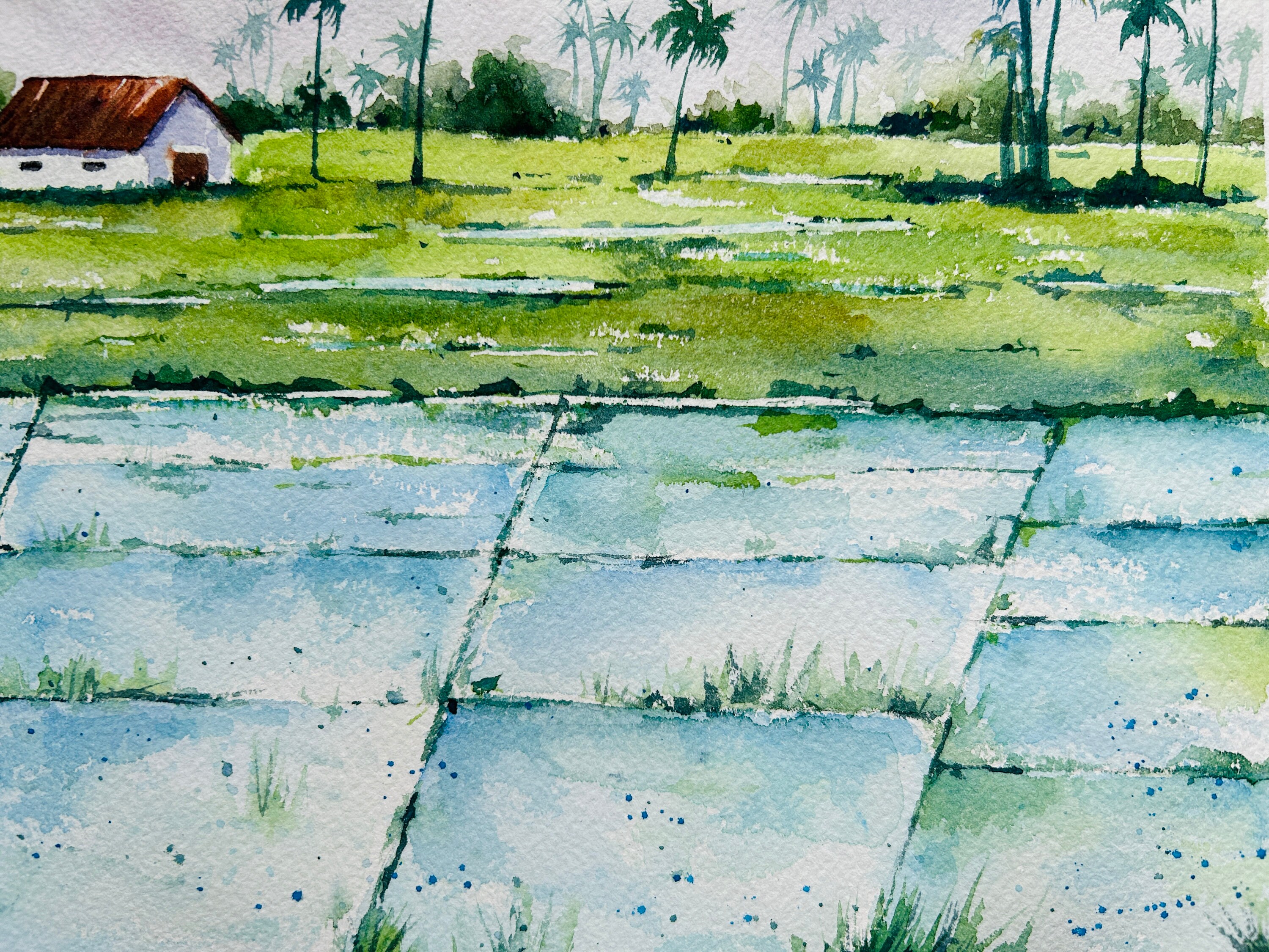 Field Painting Original Art Asian Wall Art Rice Fields Painting Green ...