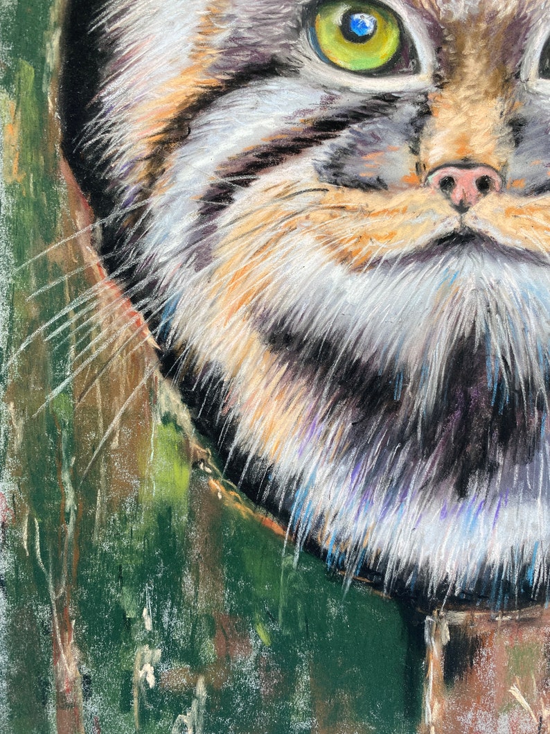 Cat Painting Felis Manul Painting Wild Cat Art Original Art Manul ...