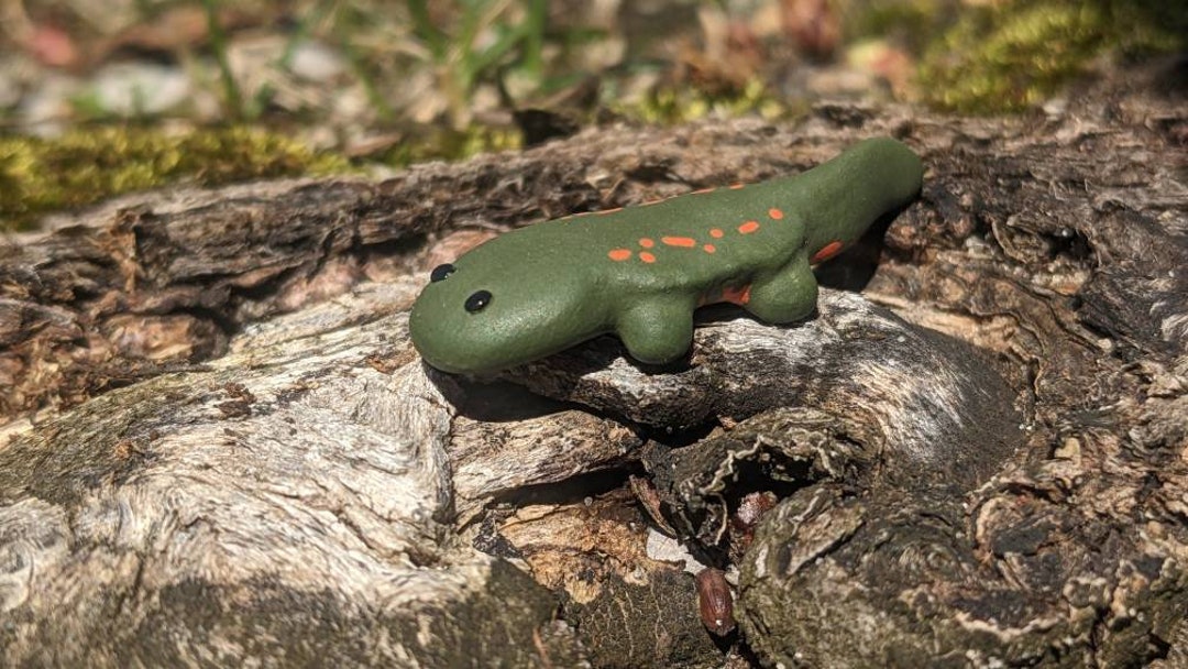 Walking With Dinosaurs Koolasuchus