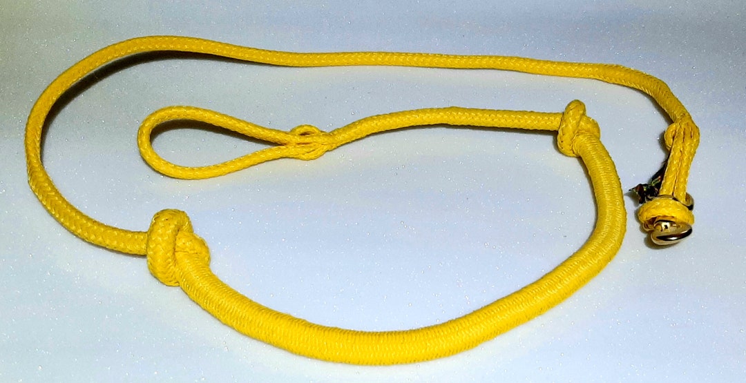 Sled Dog Canicross Line - Etsy