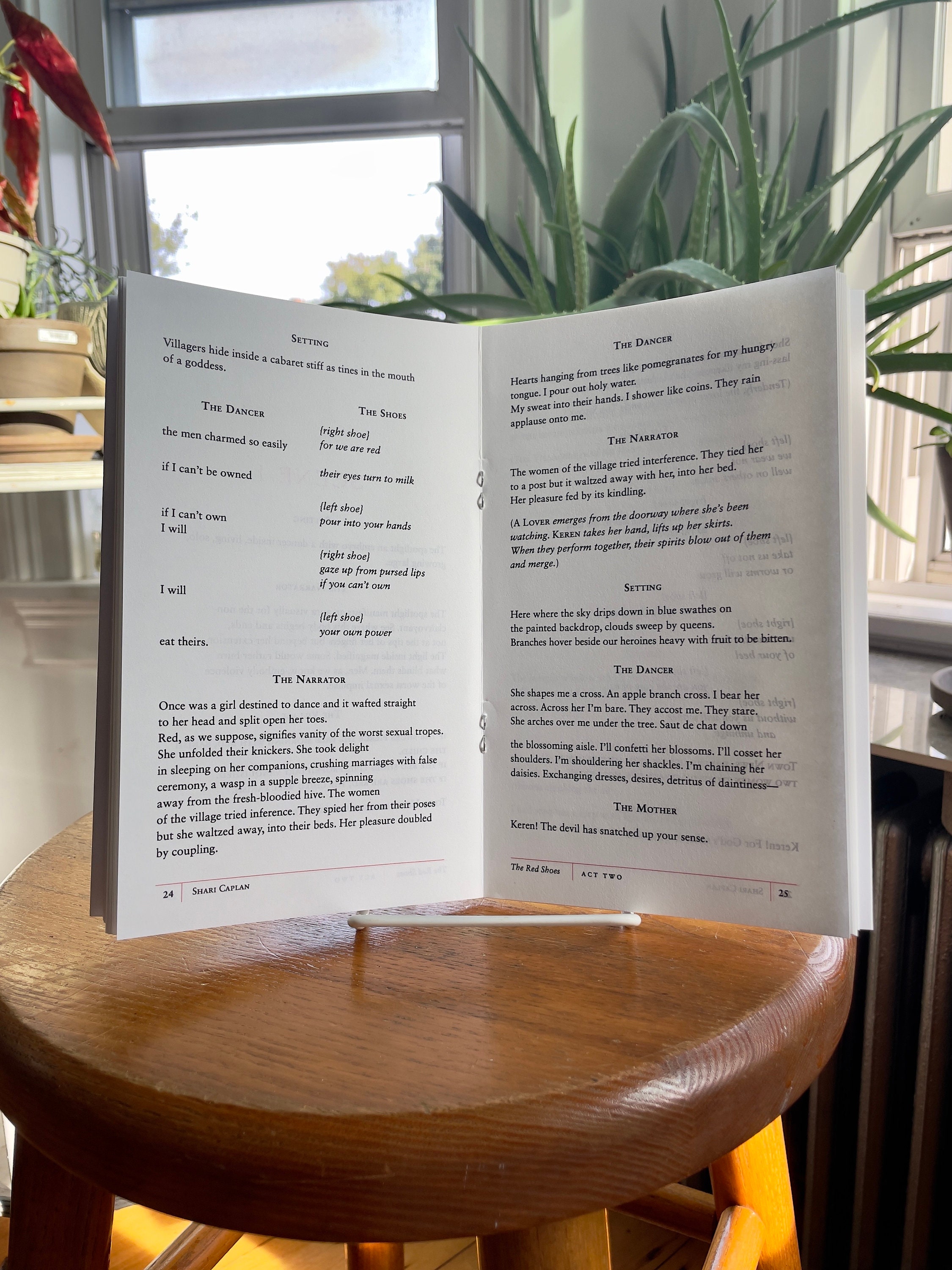 The Red Shoes: A Phantasmagoric Ballet on Paper | Shari Caplan - Etsy