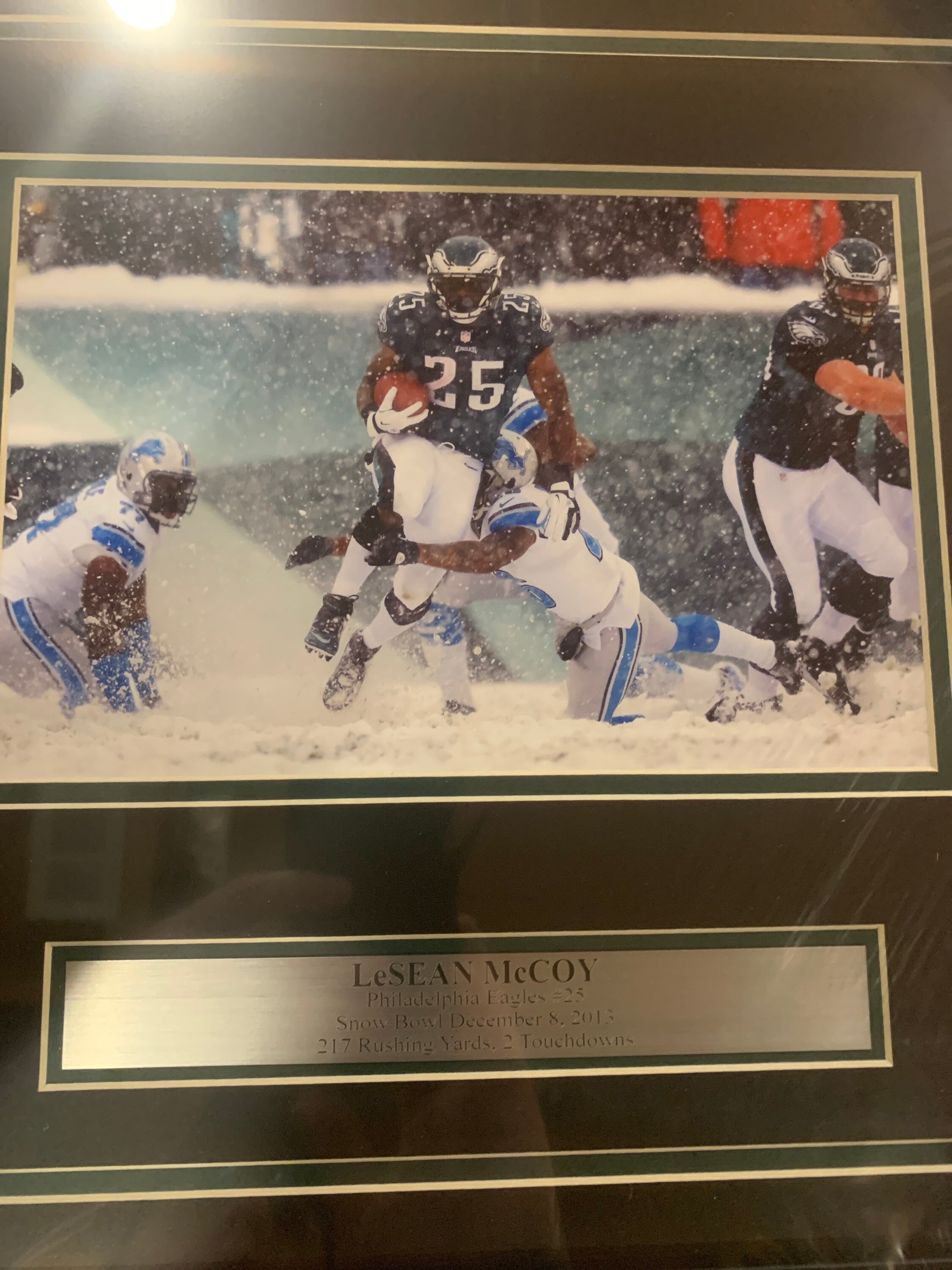Lesean Mccoy Snowbowl