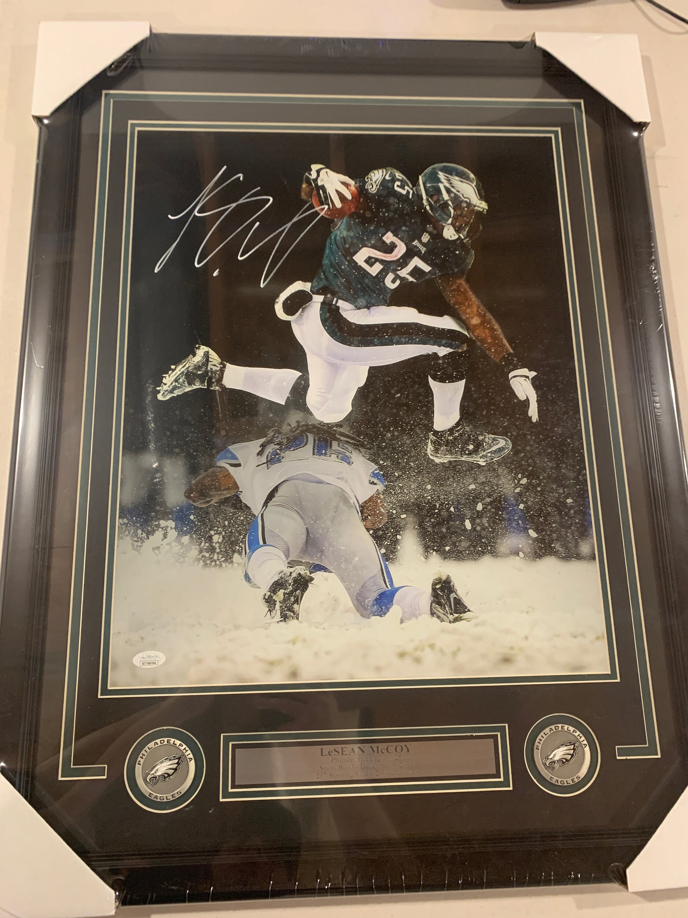 Lesean Mccoy Snow Bowl