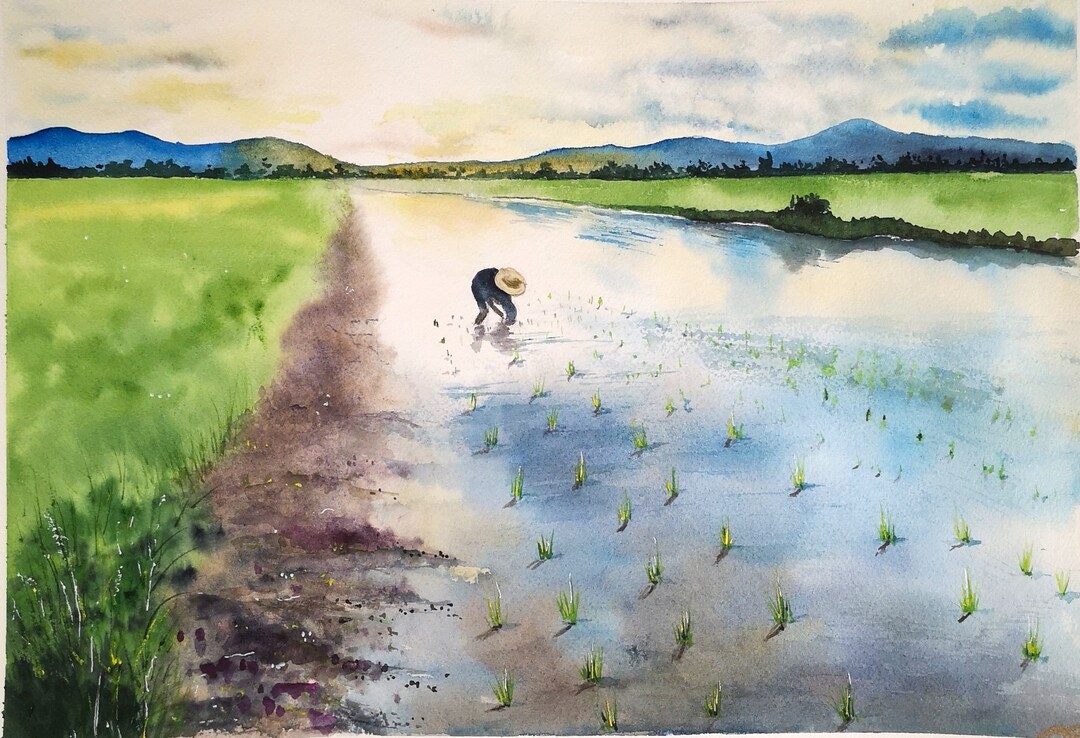 Original Watercolor Rice Fields From Vietnam, Hand Painted Watercolor ...