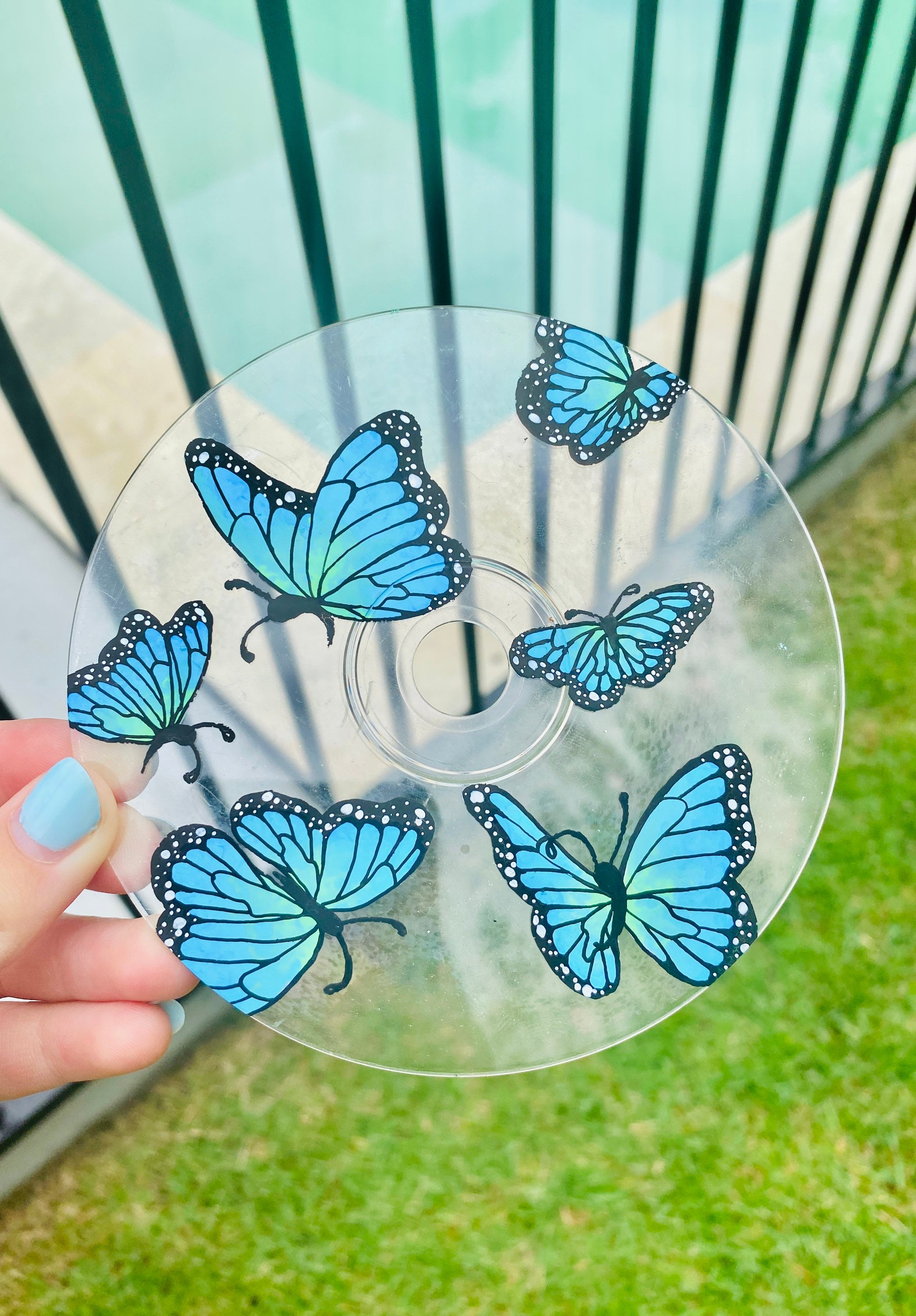CD Butterfly Painting Art, Room Decor Comes With Case - Etsy