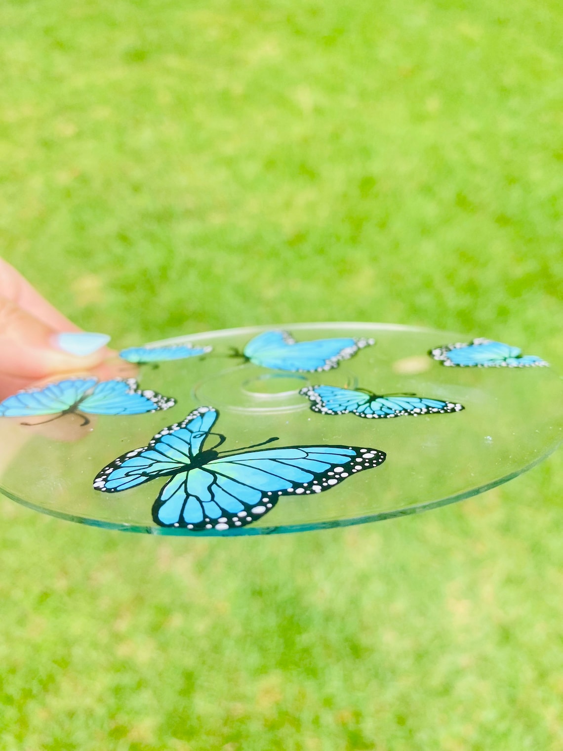 CD Butterfly Painting Art Room Decor Comes With Case - Etsy