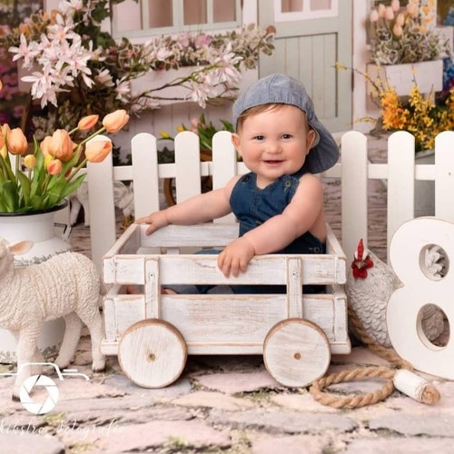 Wooden Chair Newborn Photography Prop Child Photo Session - Etsy