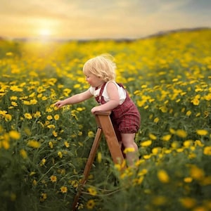 Wooden Ladder Photography Prop, Studio Props, Children Photography ...