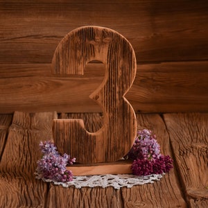 Wooden Digits, Set of Wooden Numbers, One/two/three Sign, Birthday ...