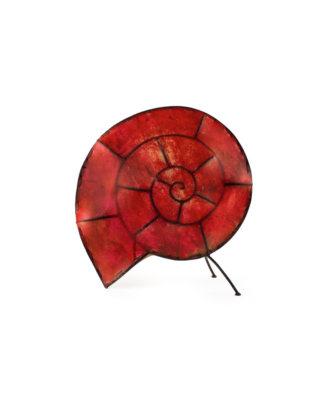 Leather Spiral Lamp, Ammonite Shell, Fair Trade Esotic Lamp - Etsy