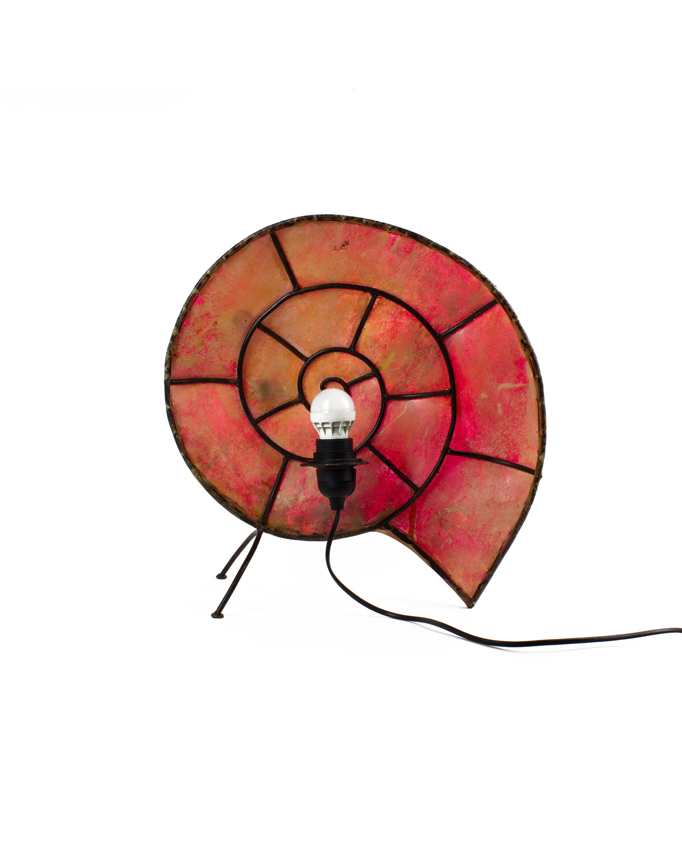 Leather Spiral Lamp, Ammonite Shell, Fair Trade Esotic Lamp - Etsy