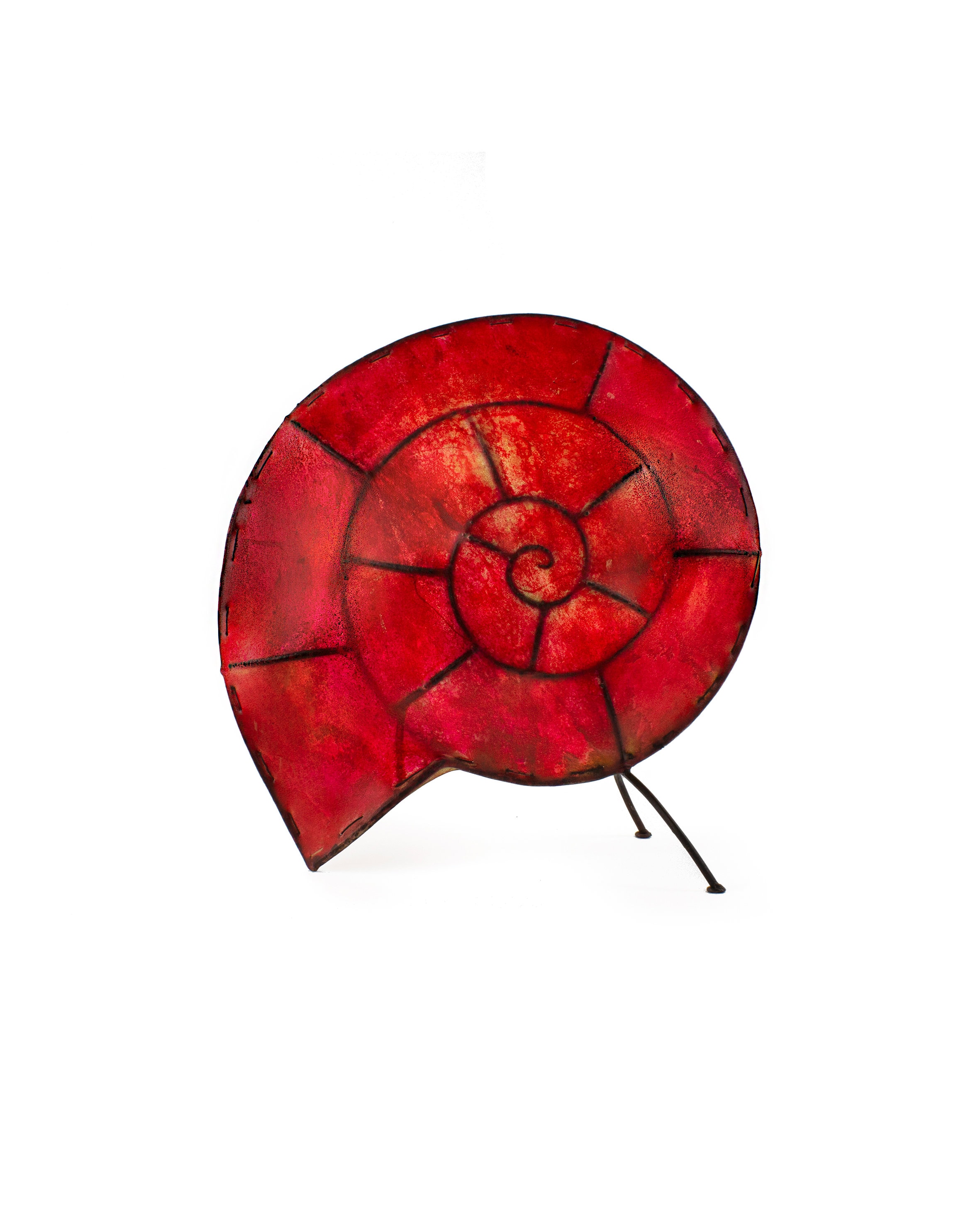 Leather Spiral Lamp, Ammonite Shell, Fair Trade Esotic Lamp - Etsy