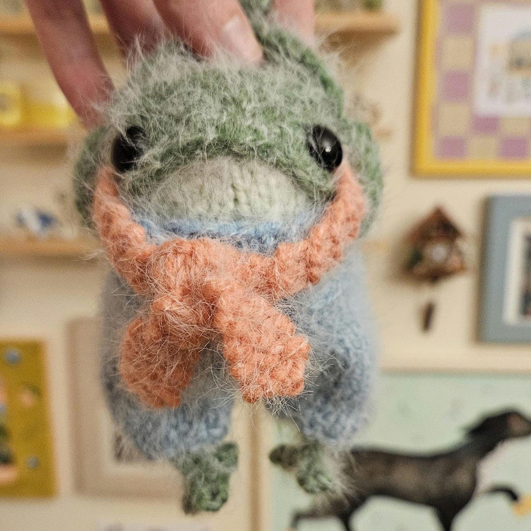 Fuzzy Cozy Bag Friends! Jumbo Froggy Bag Friends by Allie and Jules ...