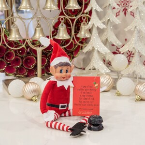 SHIPS NEXT DAY! | 26 Days of Elf Pranks, Antics & Mischief - All ...