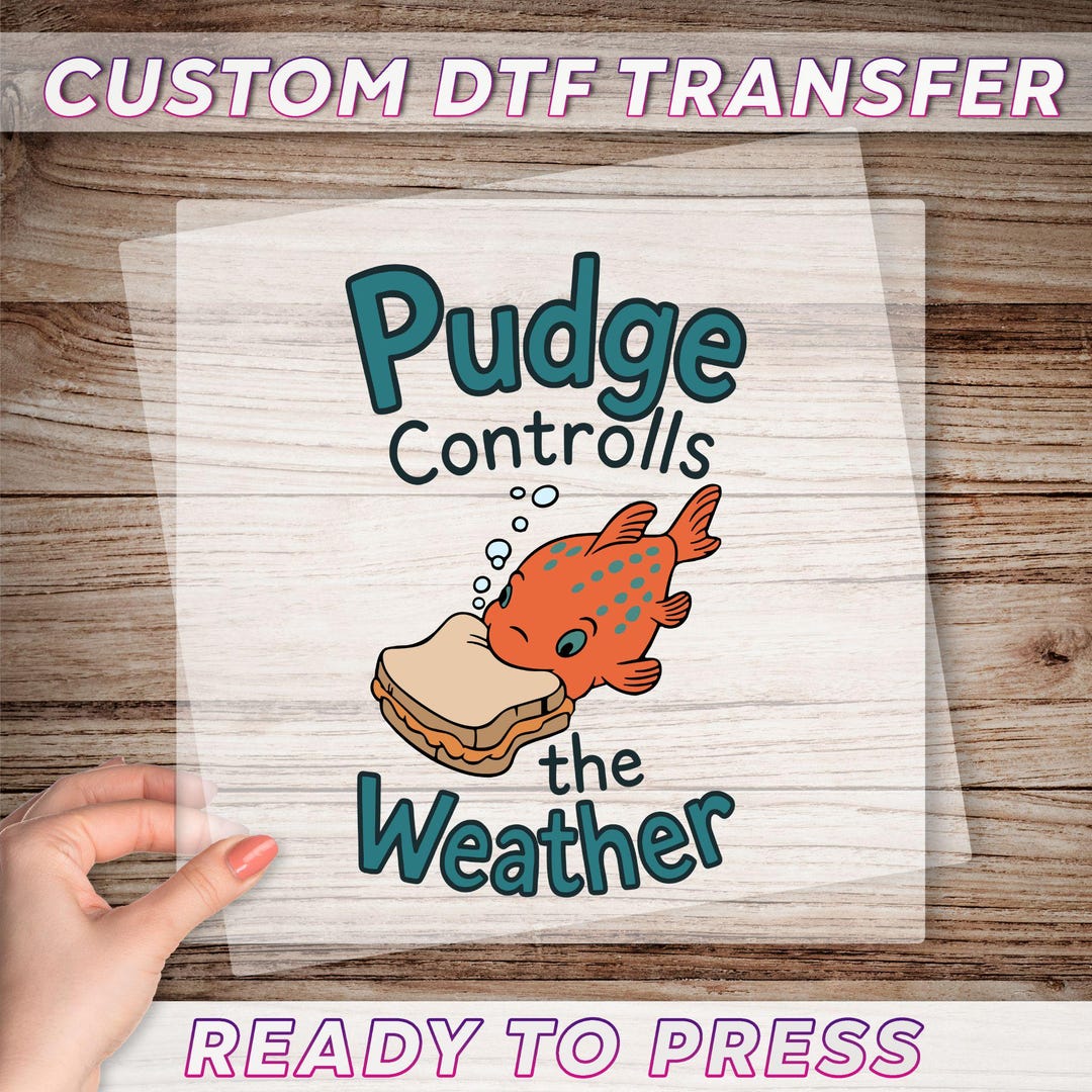 Disney Lilo and Stitch Pudge Controls the Weather DTF, Disneyland ...