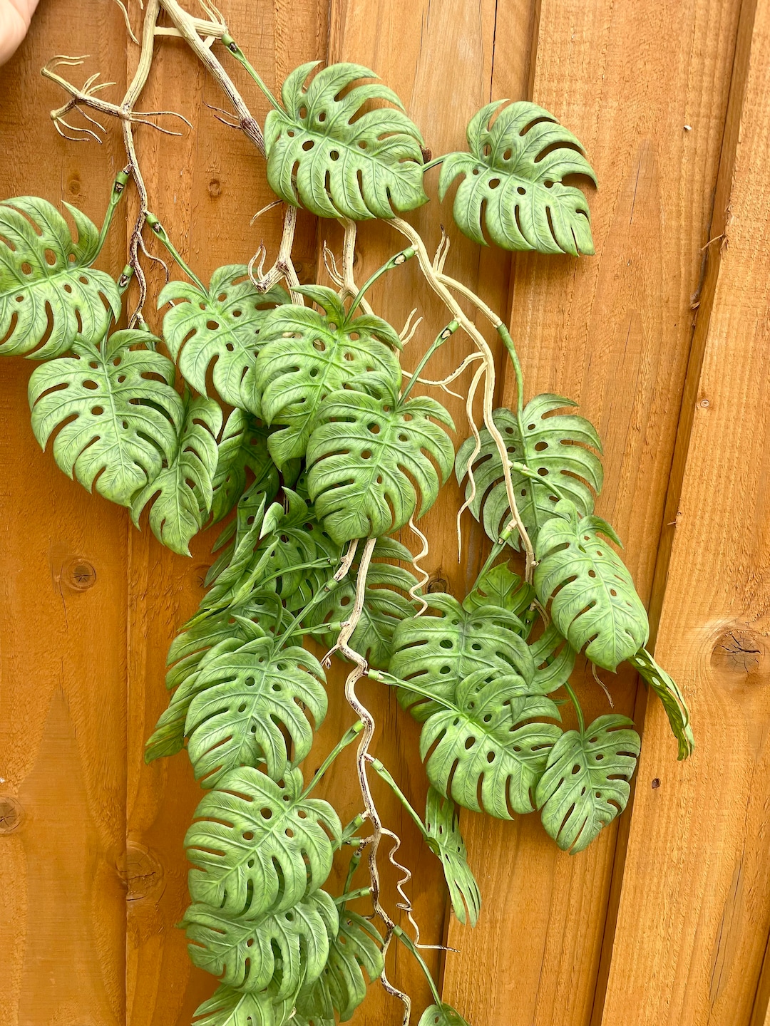 Real Touch Artificial Monstera Leaf Garland 80 Cm, High Quality ...