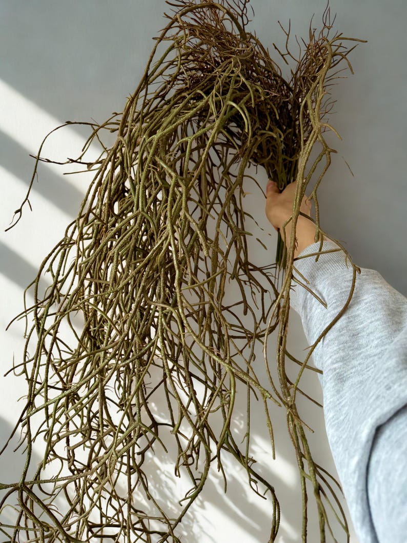 Artificial Hanging Twig Garland | Faux Twig Greenery | Boho Jungle ...