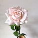 1 PCS Real Touch Roses, Ligh Pink Rose Stem, Realistic Luxury Faux ...
