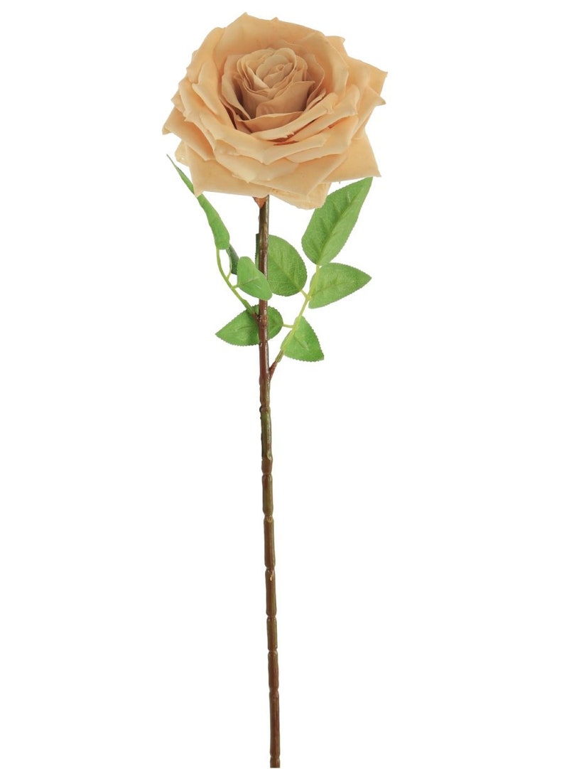 1 PCS Artificial Champagne Colour Rose, Quality Artificial Rose Beige ...