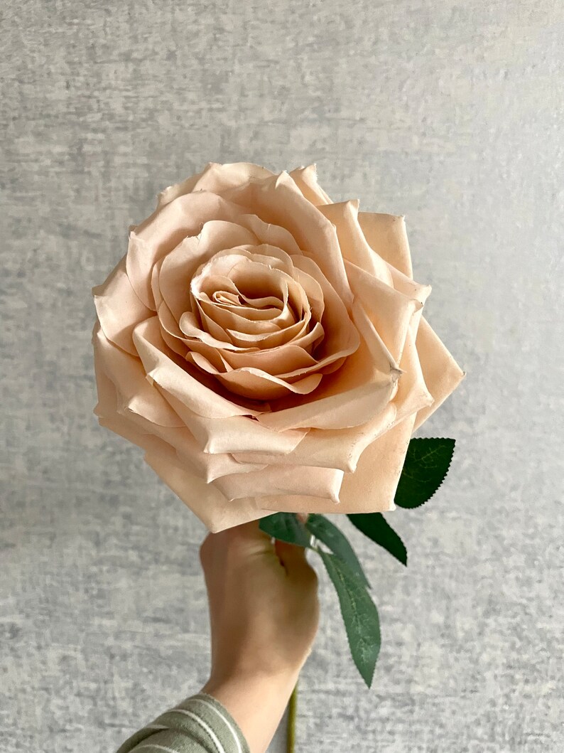 1 PCS Artificial Champagne Colour Rose, Quality Artificial Rose Beige ...