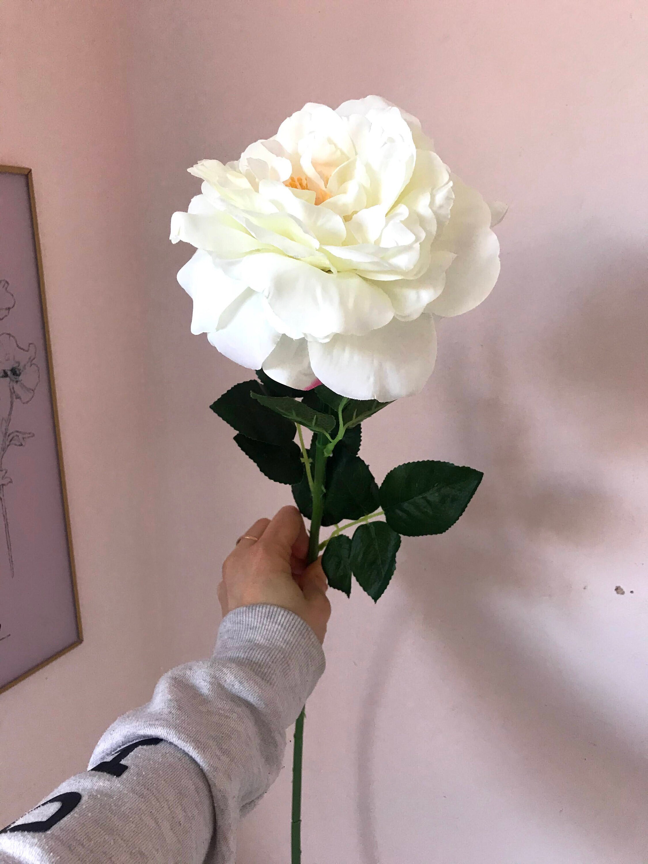 1 PCS Artificial Faux White Rose Stem Silk White Roses Faux - Etsy