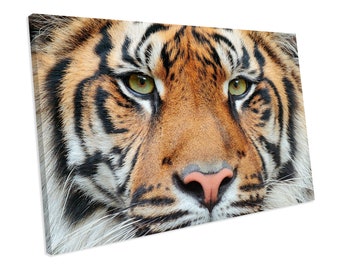 Tiger Canvas Art | Etsy