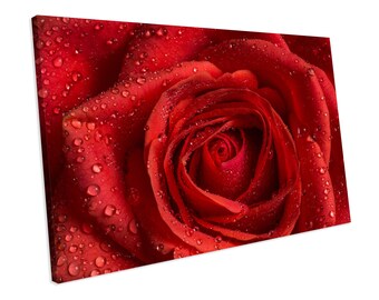 Red Rose Wall | Etsy