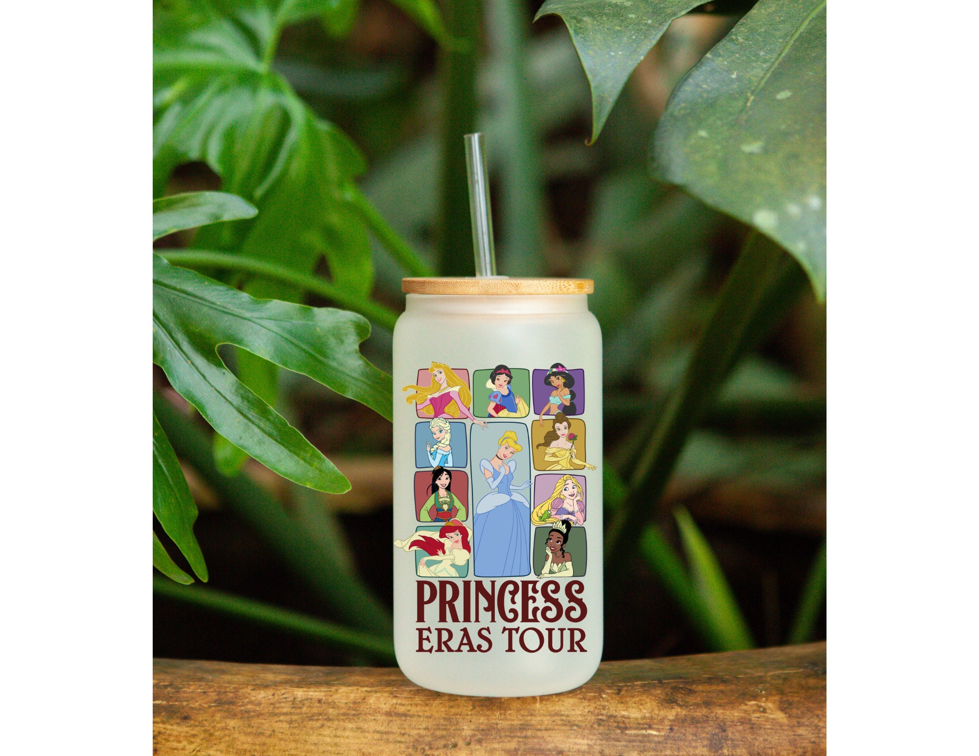 Princess eras tour frosted glass can cup, disney frosted cup, disney ...